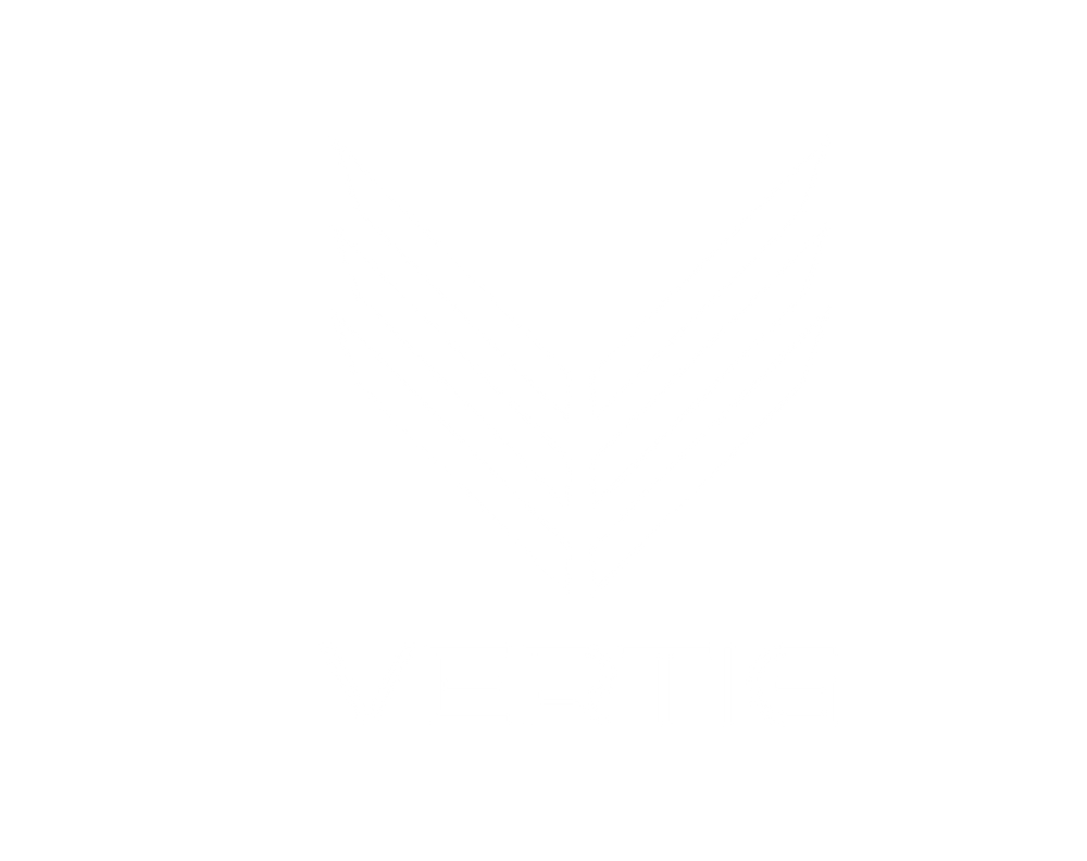 About Vertig – Our Story, Passion & Craftsmanship - VertigStore